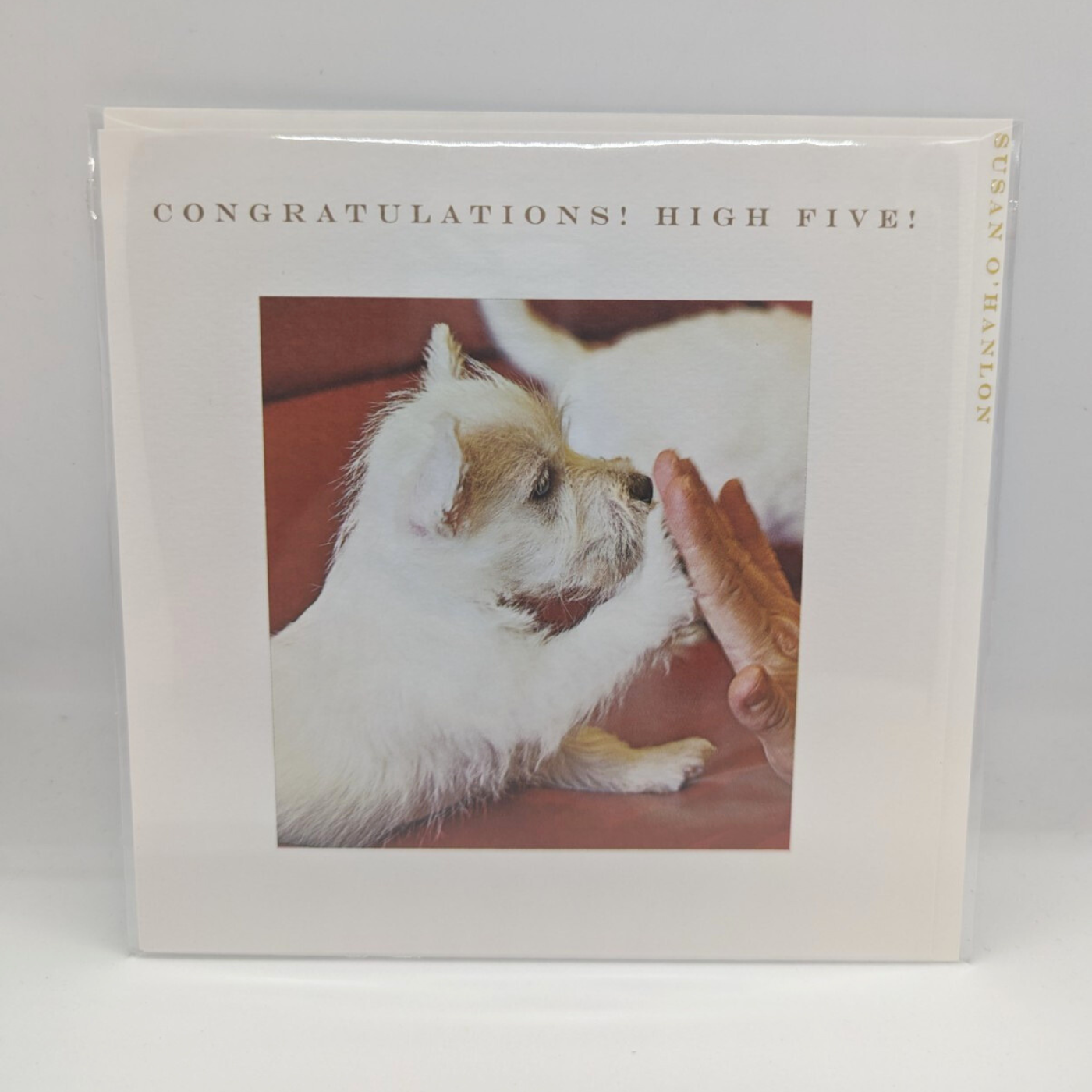 Congratulations! High Five! | Susan O'Hanlon Card – Geoghegans Of Navan